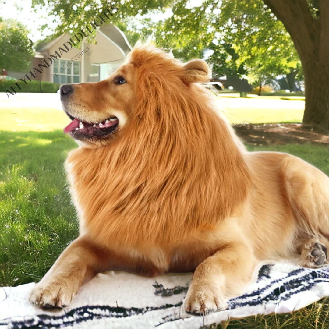 Lion Costumes For Dogs