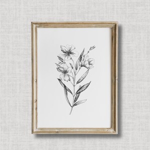 PRINTABLE Botanical Art | Botanical Sketch | Neutral Art | Sketch ...