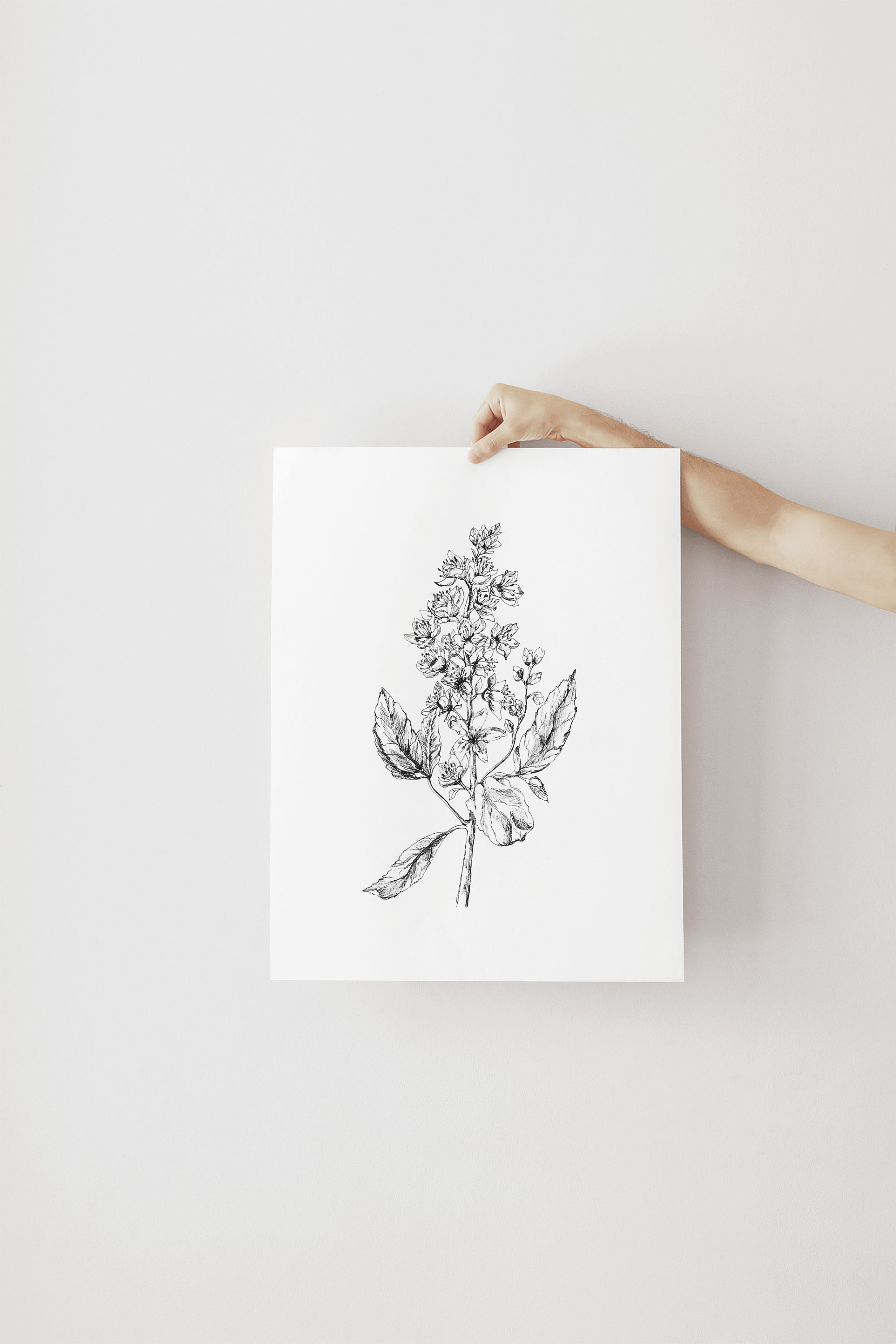 PRINTABLE Botanical Sketch | Flower Sketch Art | Neutral Art | Nature ...