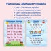 Vietnamese Alphabet - Consonants/vowels/pronunciation/learning ...