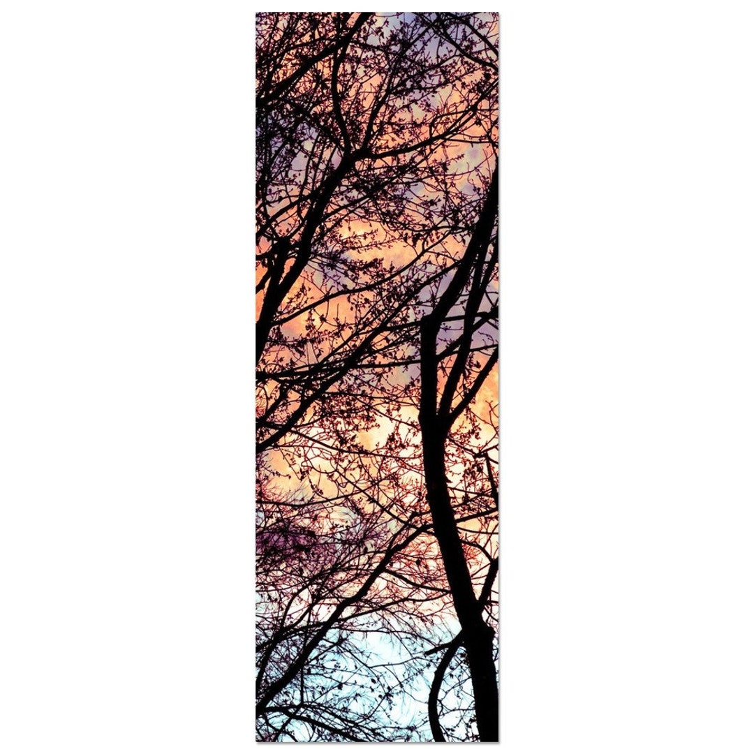 Cool Autumn Sunrise 8x24 Aluminum Print - Etsy