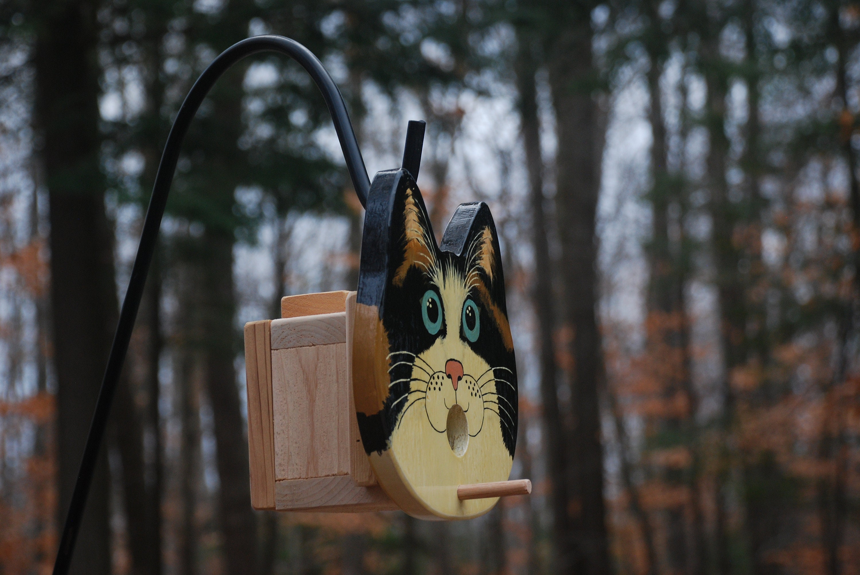 Cat Bird House Hand Made and Hand Painted in Michigan. - Etsy