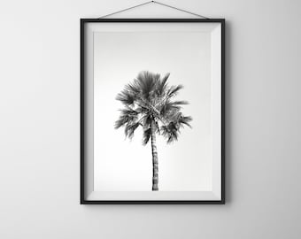 Modern Tropical Photo, Black and White, Wall Art, Printable Wall Art ...