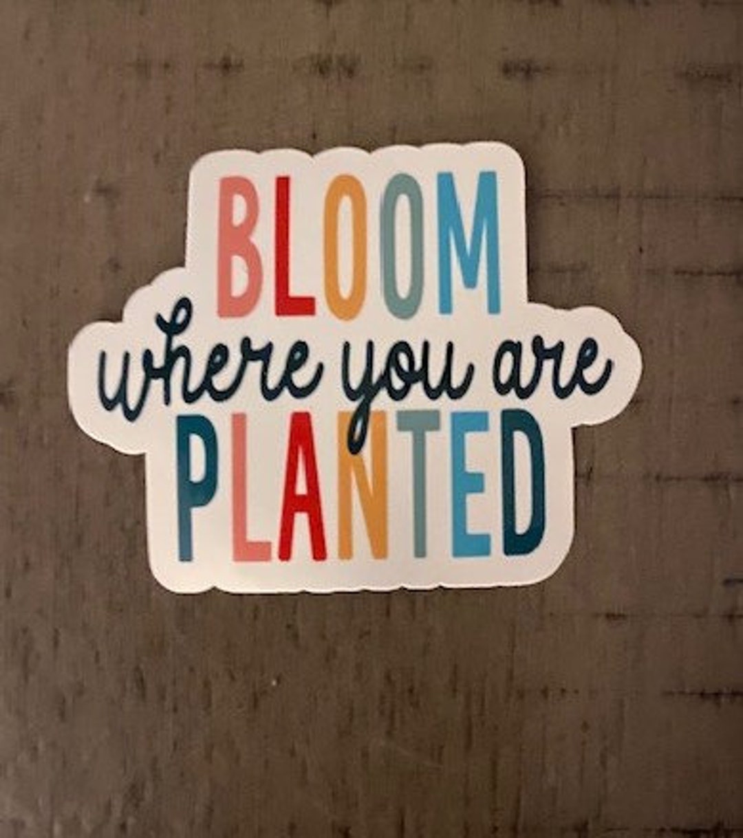 Bloom Where Planted Sticker|decals for Any Surface|waterproof Sticker ...