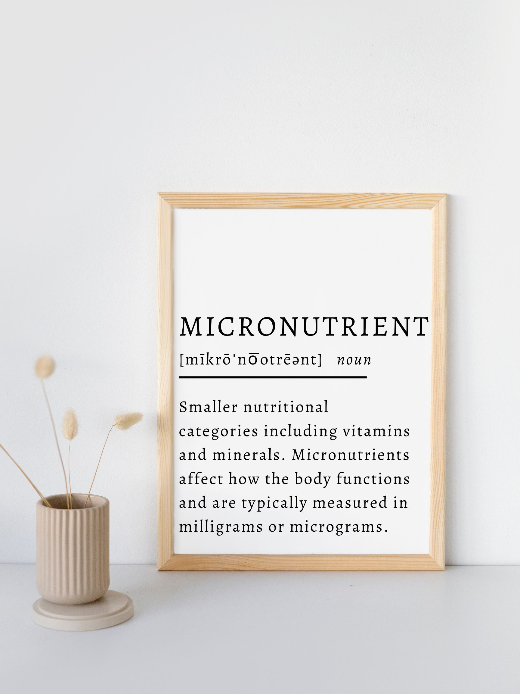 Nutrition Poster Micronutrient Definition - Etsy