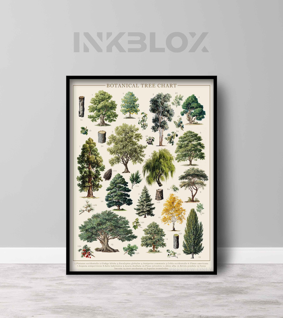 Botanical Tree Poster - Rustic Botanical Print, Botanical Illustration ...