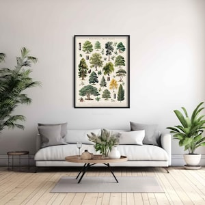 Botanical Tree Poster - Rustic Botanical Print, Botanical Illustration ...