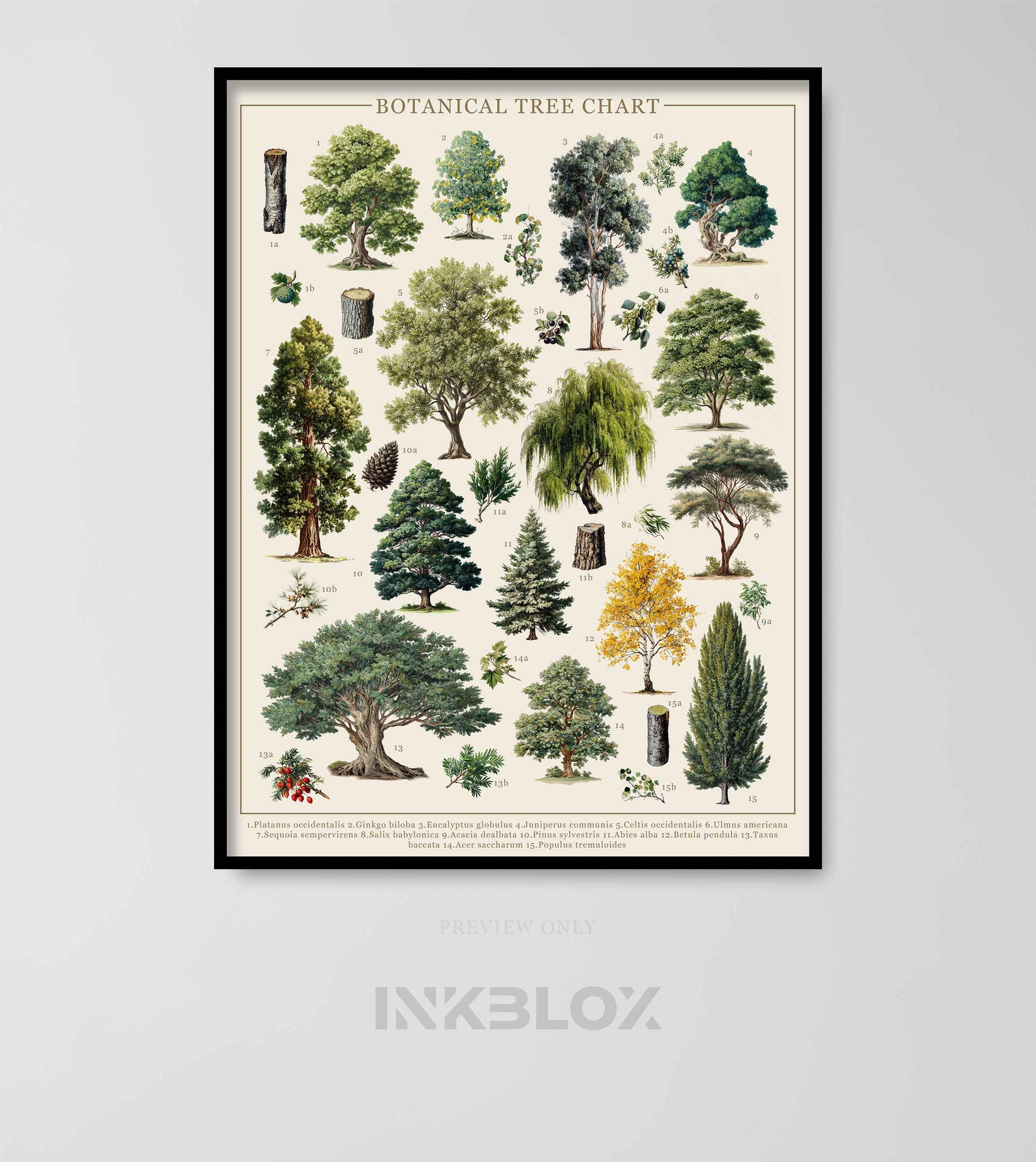 Botanical Tree Poster - Rustic Botanical Print, Botanical Illustration ...