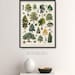 Botanical Tree Poster - Rustic Botanical Print, Botanical Illustration ...