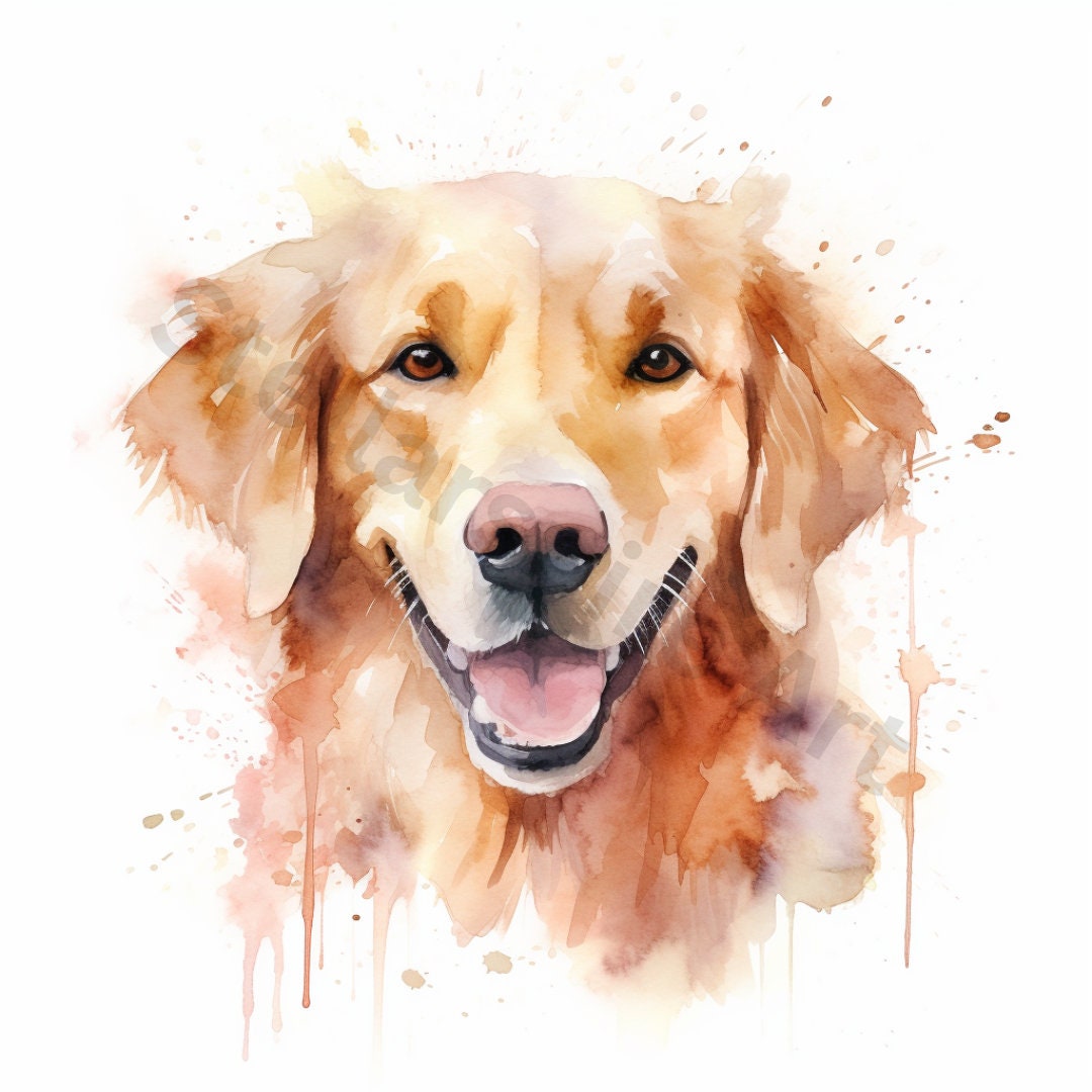 Watercolor Golden Retriever Clipart - 8 High Quality Pngs - Digital ...