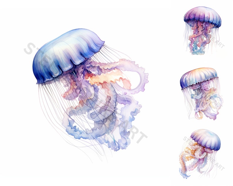 Watercolor Jelly Fish Clipart - 8 High Quality Pngs - Digital Download ...