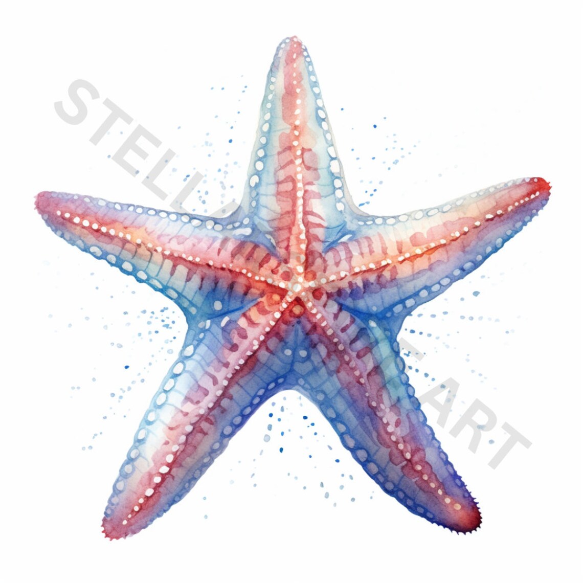 Watercolor Starfish Clipart 8 High Quality Pngs Digital Download for ...