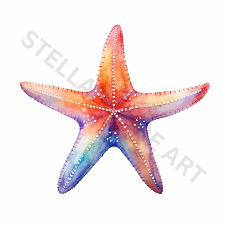 Watercolor Starfish Clipart - 8 High Quality Pngs - Digital Download ...