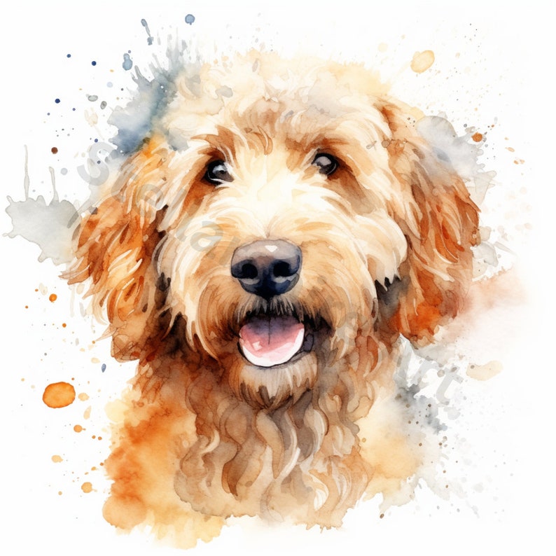 Watercolor Golden Doodle Clipart - 8 High Quality Pngs - Digital ...