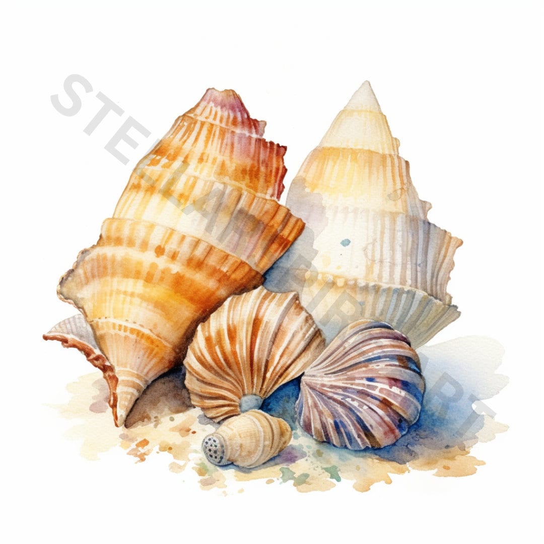 Watercolor Seashells Clipart - 8 High Quality Pngs - Digital Download ...