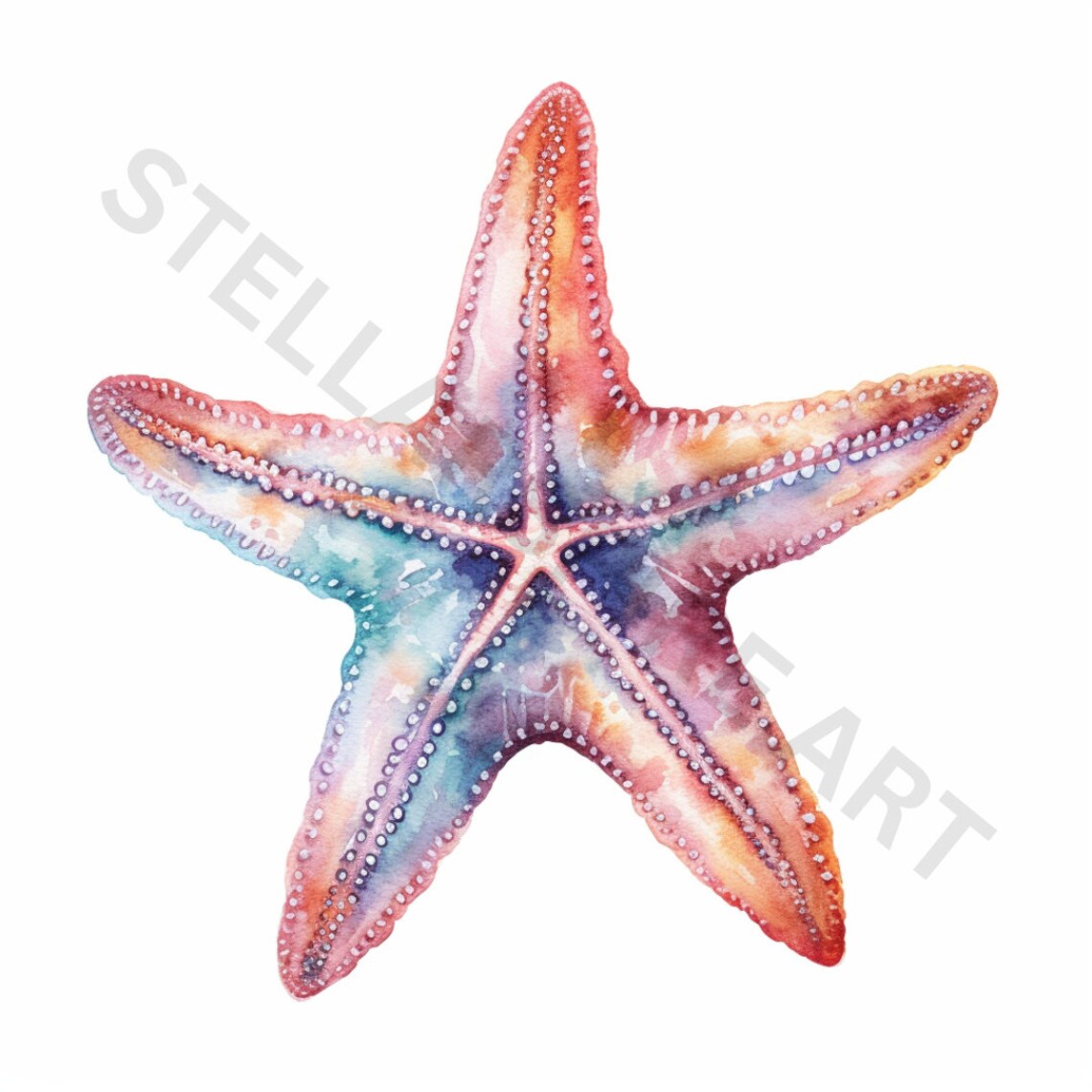 Watercolor Starfish Clipart - 8 High Quality Pngs - Digital Download ...
