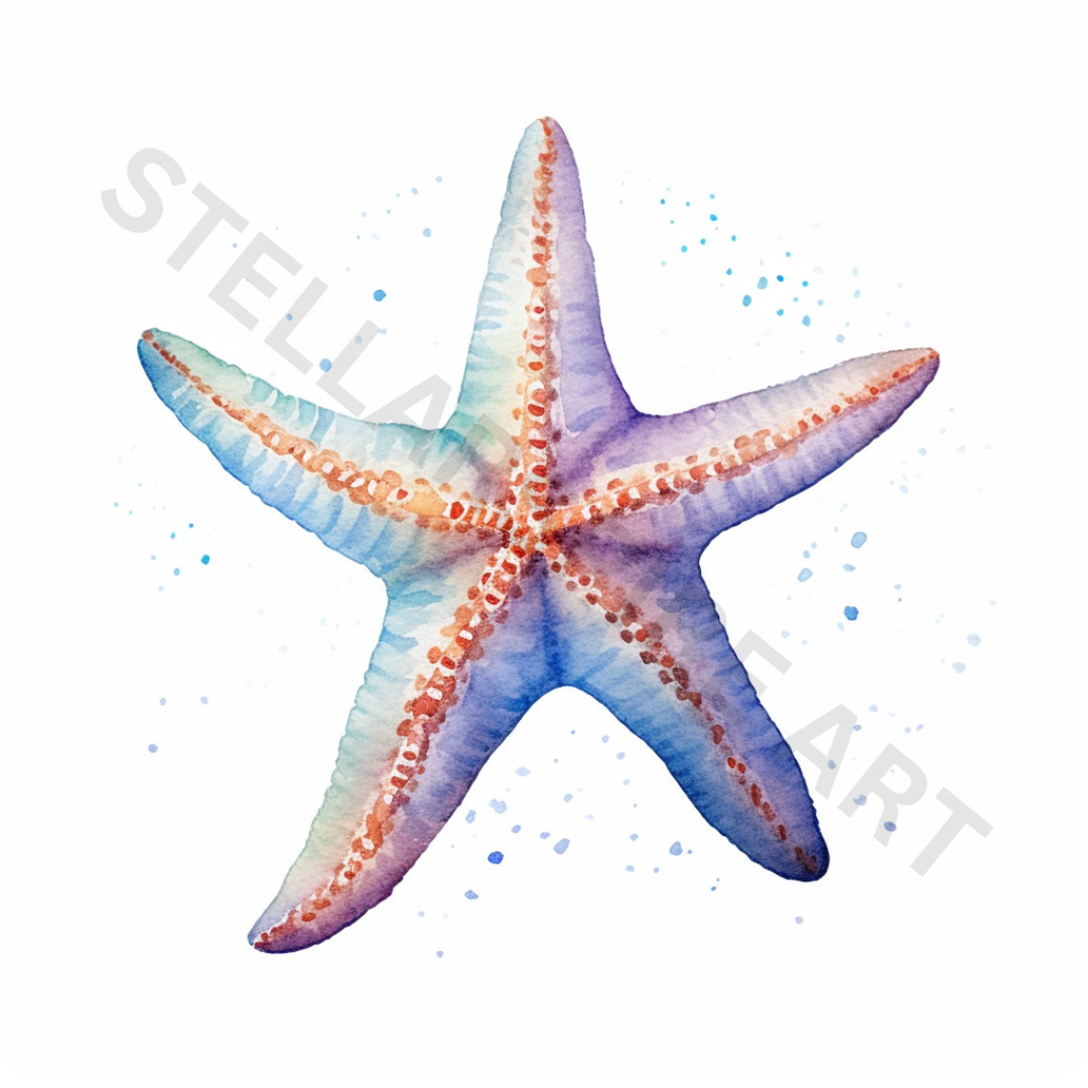 Watercolor Starfish Clipart - 8 High Quality Pngs - Digital Download ...