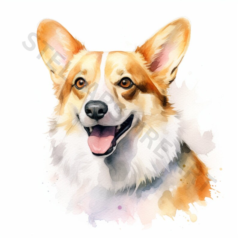 Watercolor Corgi Clipart - 8 High Quality Pngs - Digital Download - for ...
