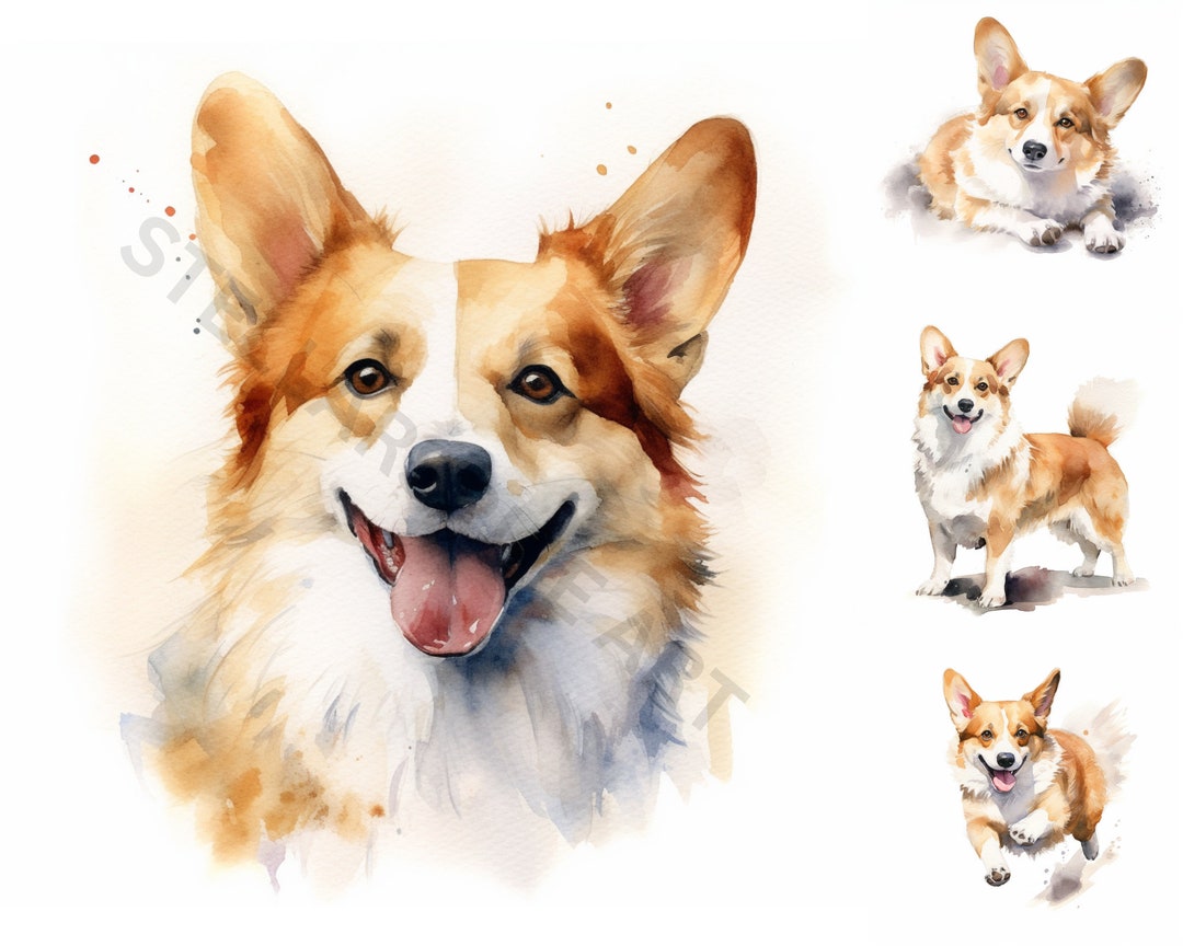 Watercolor Corgi Clipart - 8 High Quality Pngs - Digital Download - for ...