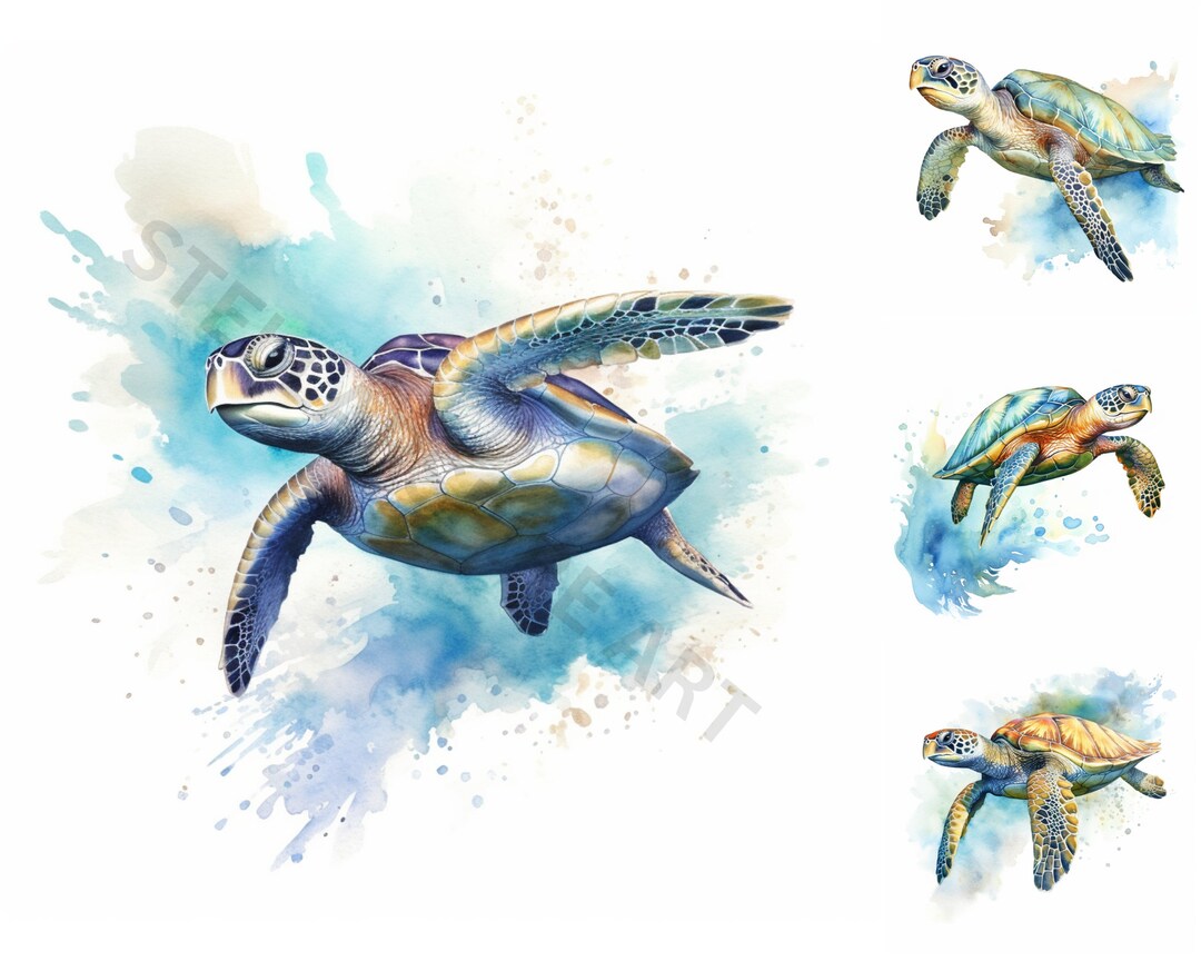 Watercolor Sea Turtle Clipart - 8 High Quality Pngs - Digital Download ...
