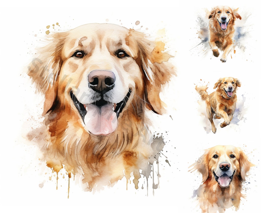 Watercolor Golden Retriever Clipart - 8 High Quality Pngs - Digital ...