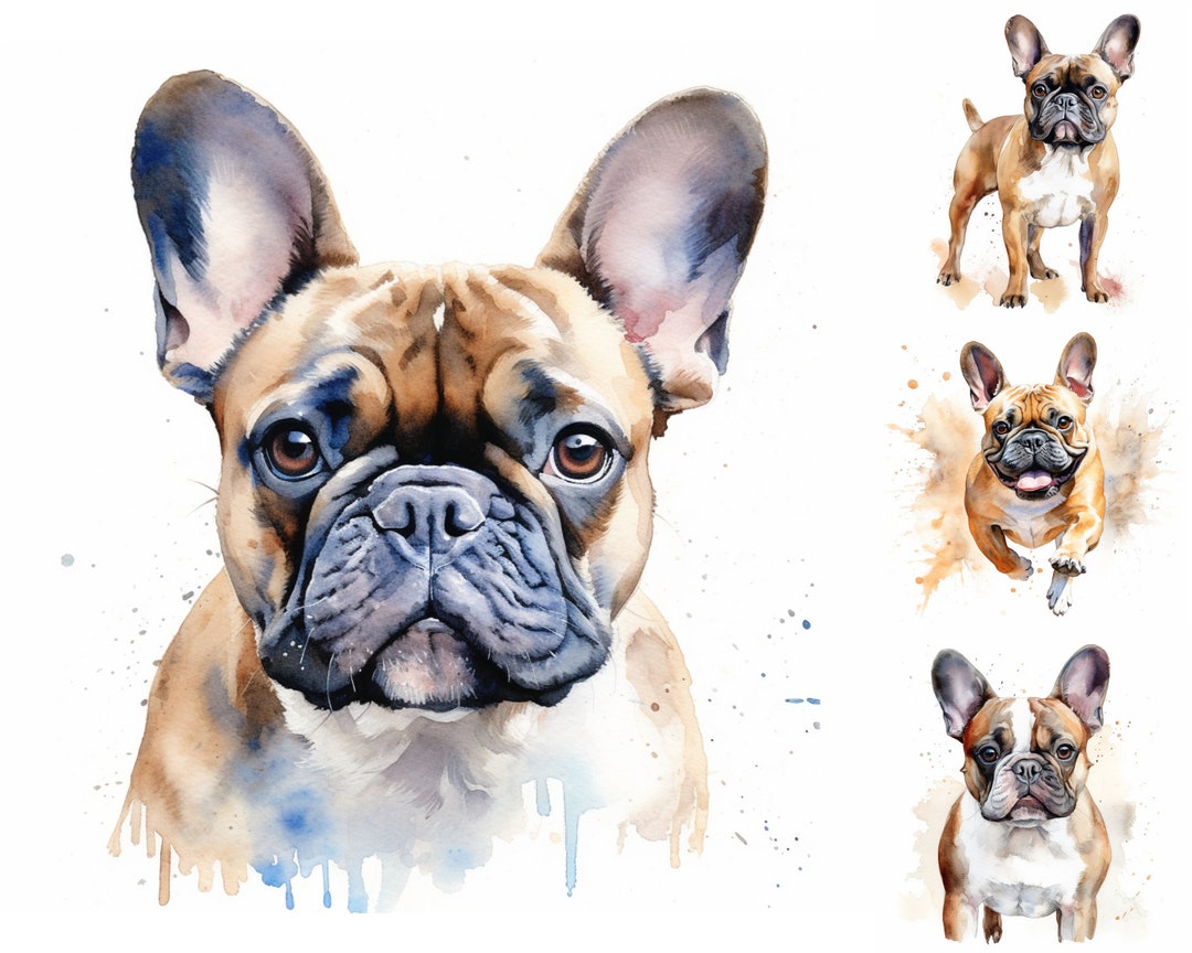 Watercolor French Bulldog Clipart - 8 High Quality Pngs - Digital ...