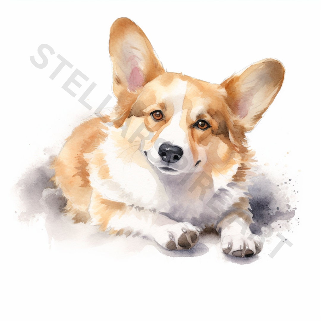 Watercolor Corgi Clipart 8 High Quality Pngs Digital - Etsy
