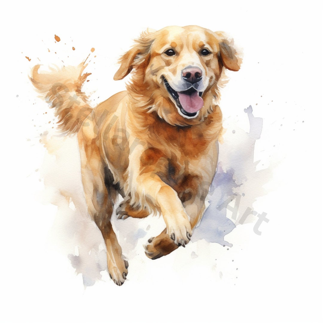 Watercolor Golden Retriever Clipart - 8 High Quality Pngs - Digital ...
