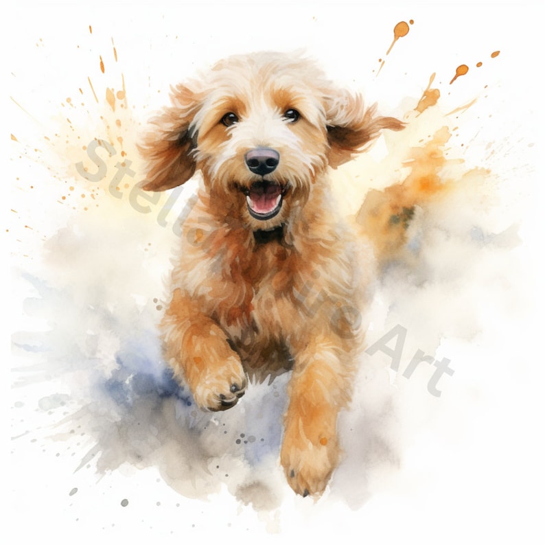 Watercolor Golden Doodle Clipart - 8 High Quality Pngs - Digital ...