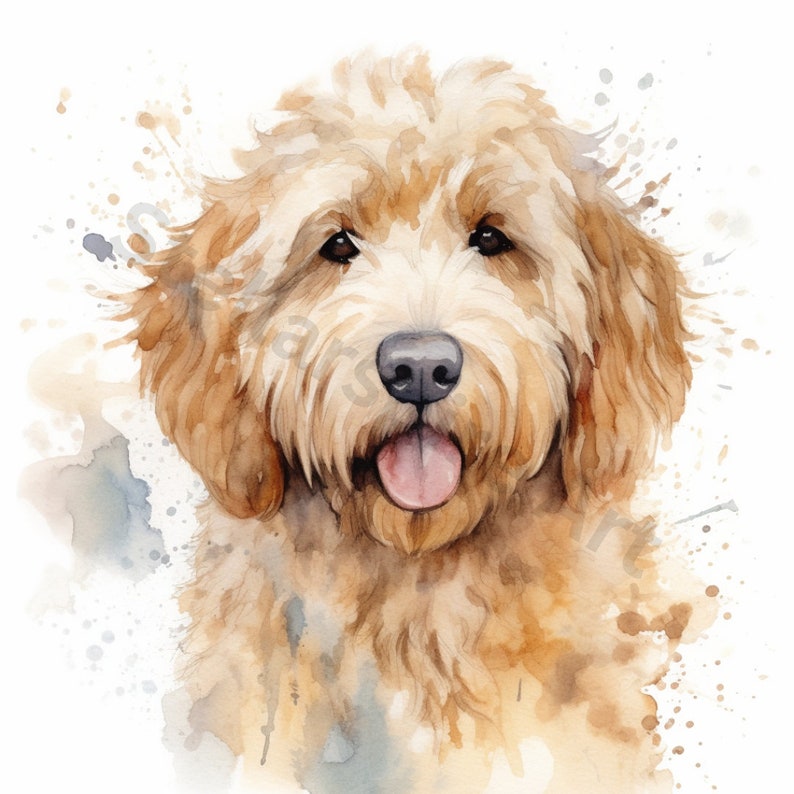 Watercolor Golden Doodle Clipart - 8 High Quality Pngs - Digital ...