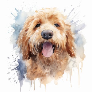 Watercolor Golden Doodle Clipart - 8 High Quality Pngs - Digital ...