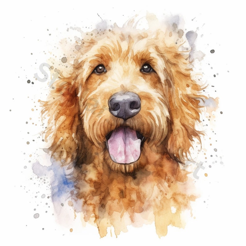 Watercolor Golden Doodle Clipart - 8 High Quality Pngs - Digital ...