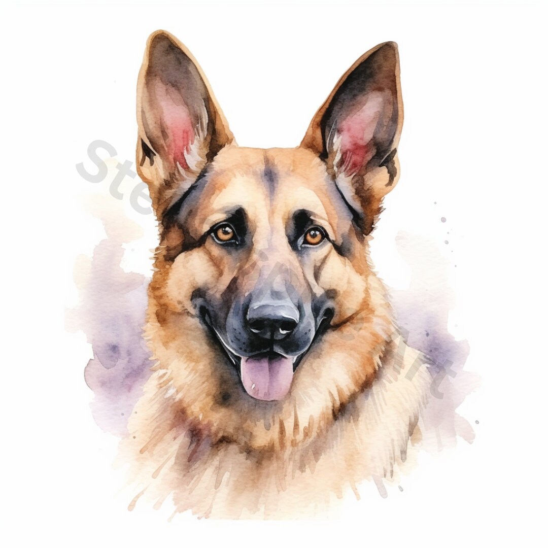 Watercolor German Shepherd Clipart - 8 High Quality Pngs - Digital ...