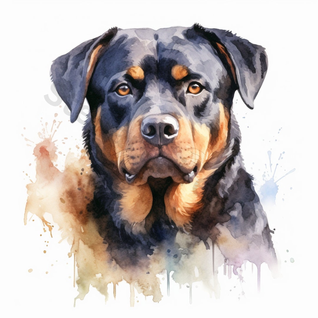 Watercolor Rottweiler Clipart 8 High Quality Pngs Digital Download for ...