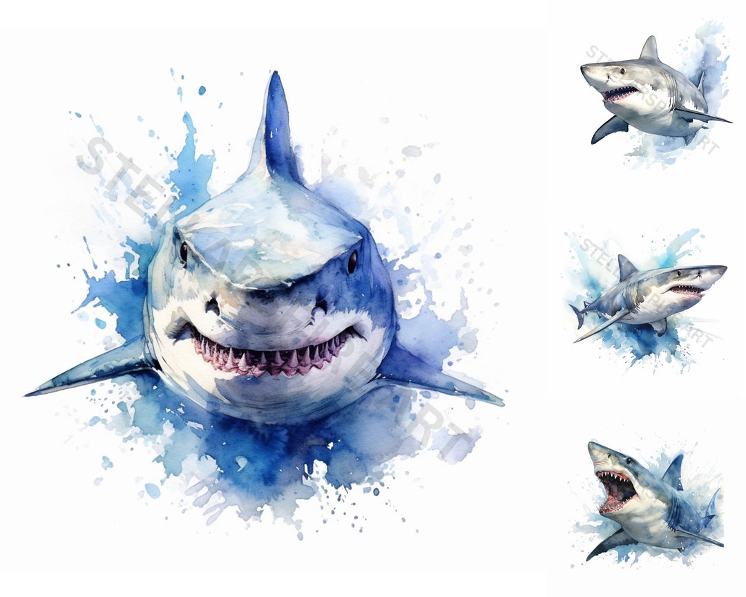 Watercolor Sharks Clipart - 8 High Quality Pngs - Digital Download ...