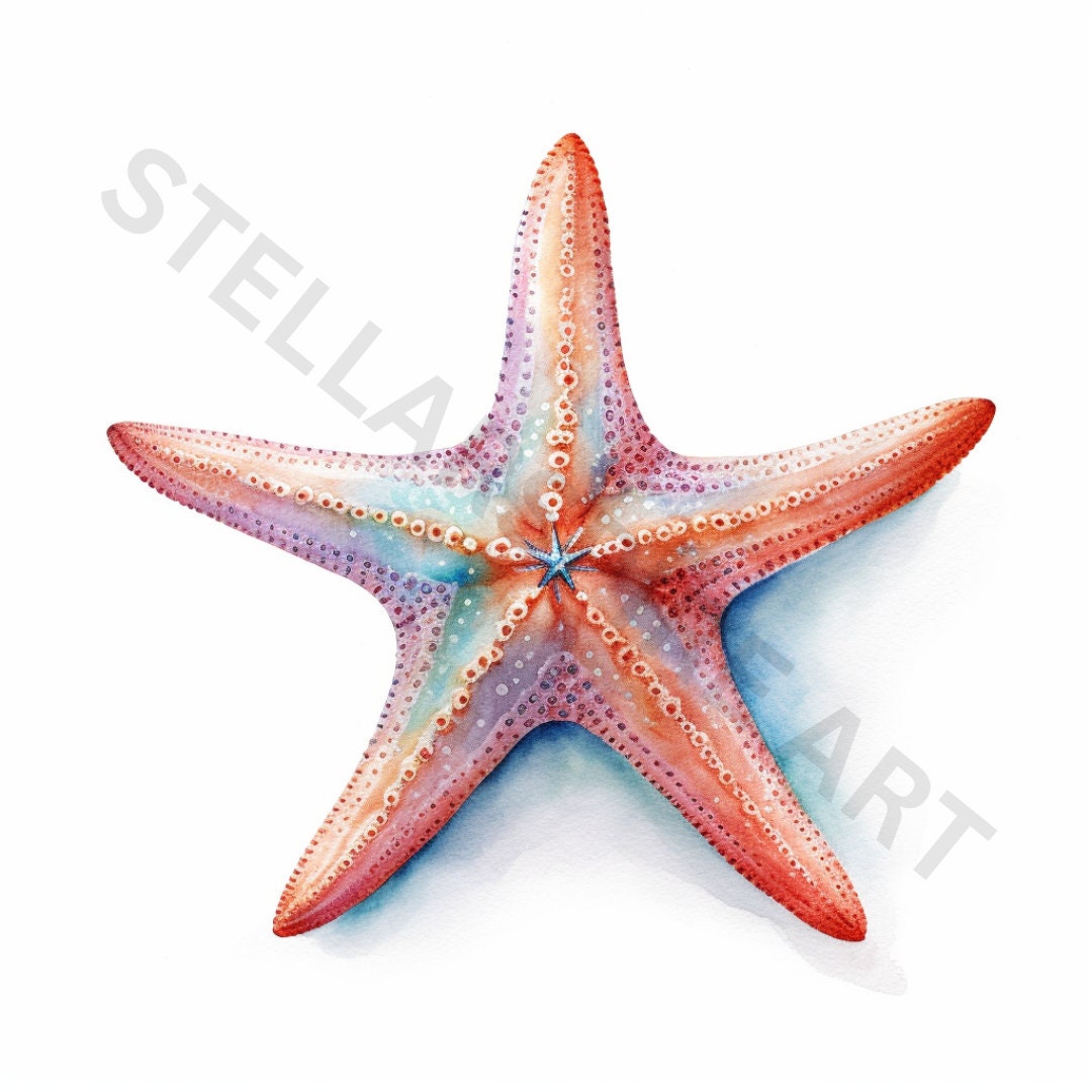 Watercolor Starfish Clipart - 8 High Quality Pngs - Digital Download ...