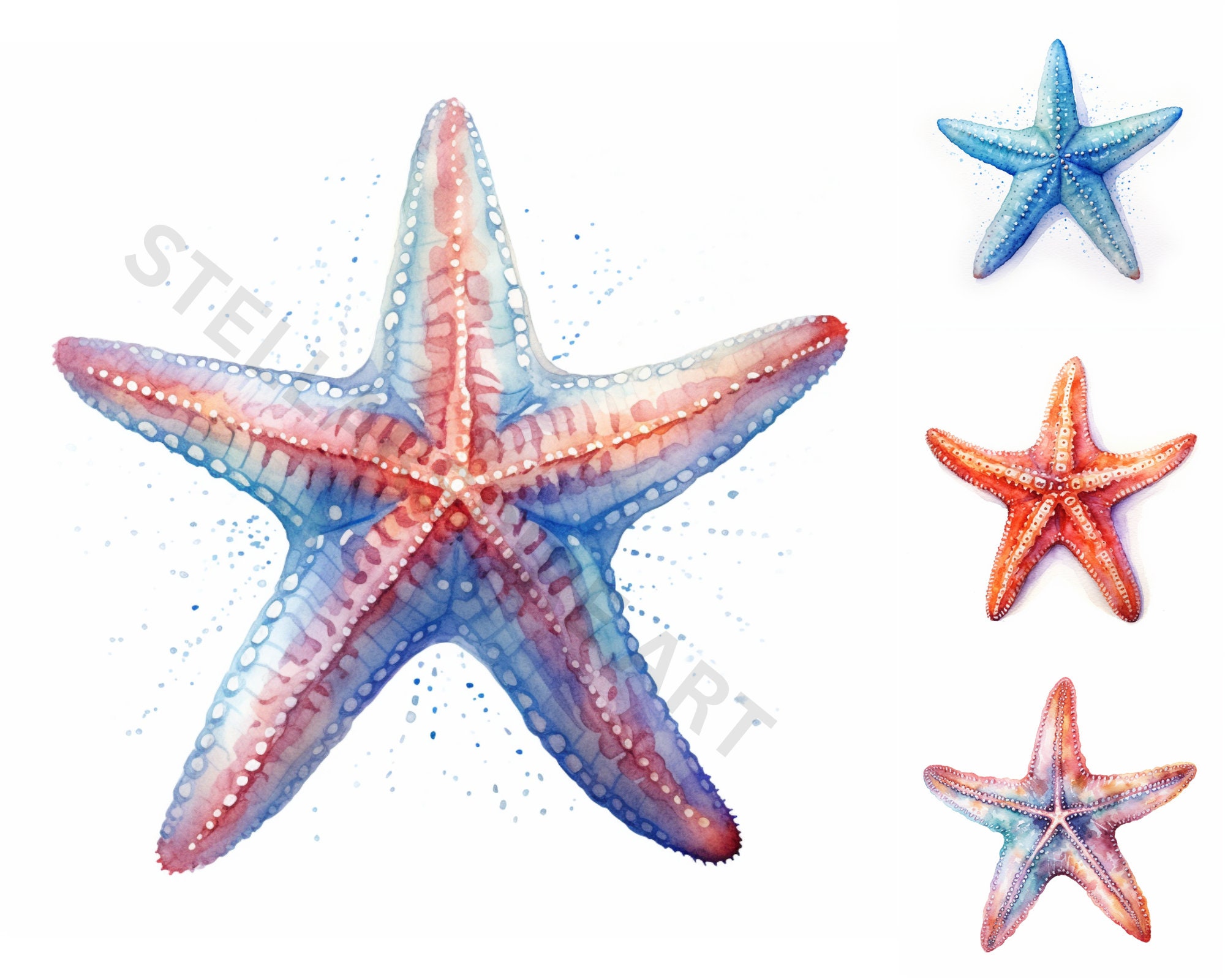 Watercolor Starfish Clipart - 8 High Quality Pngs - Digital Download ...