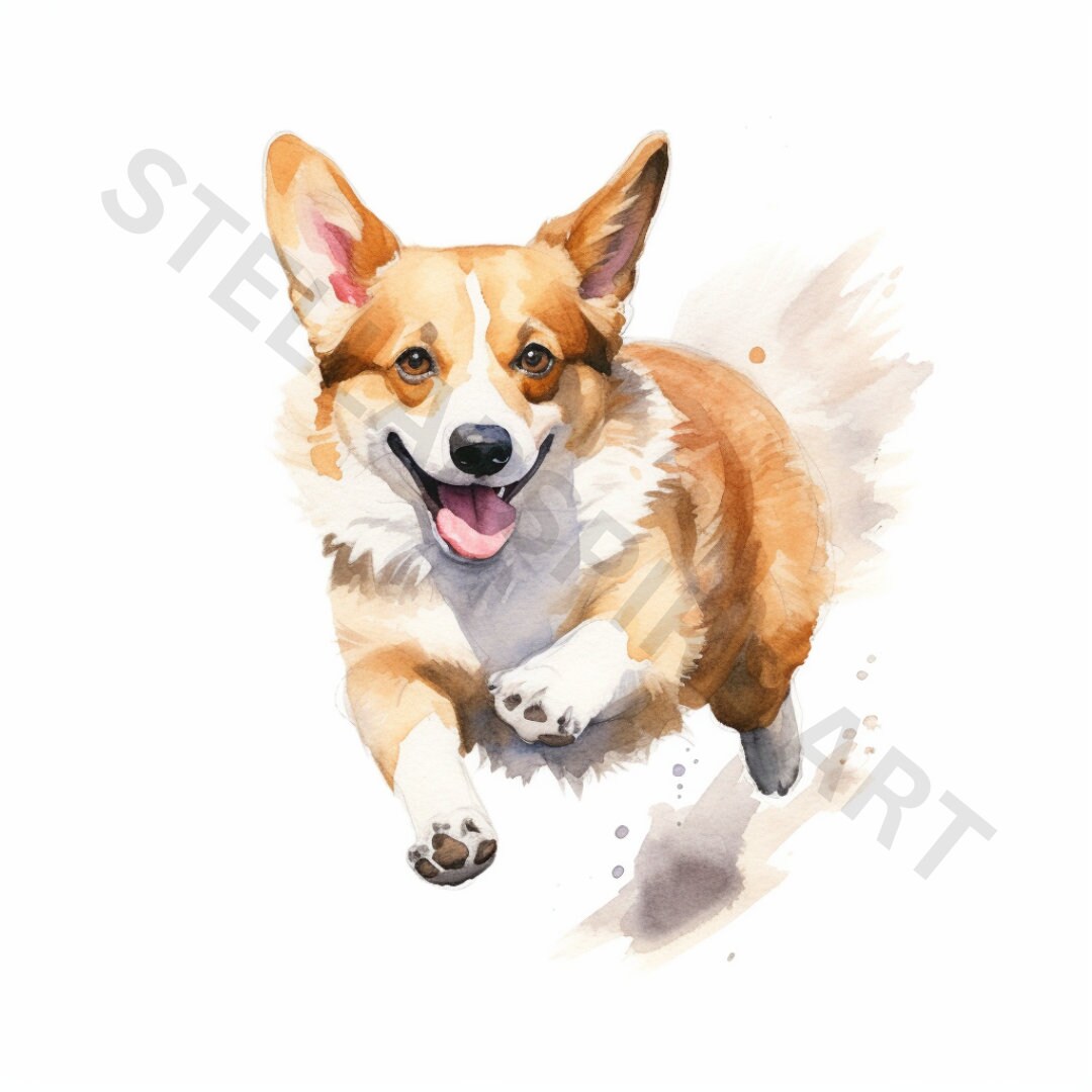 Watercolor Corgi Clipart - 8 High Quality Pngs - Digital Download - for ...