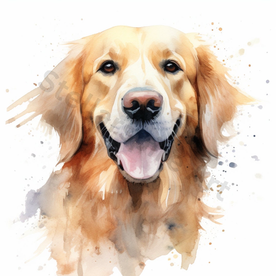 Watercolor Golden Retriever Clipart - 8 High Quality Pngs - Digital ...