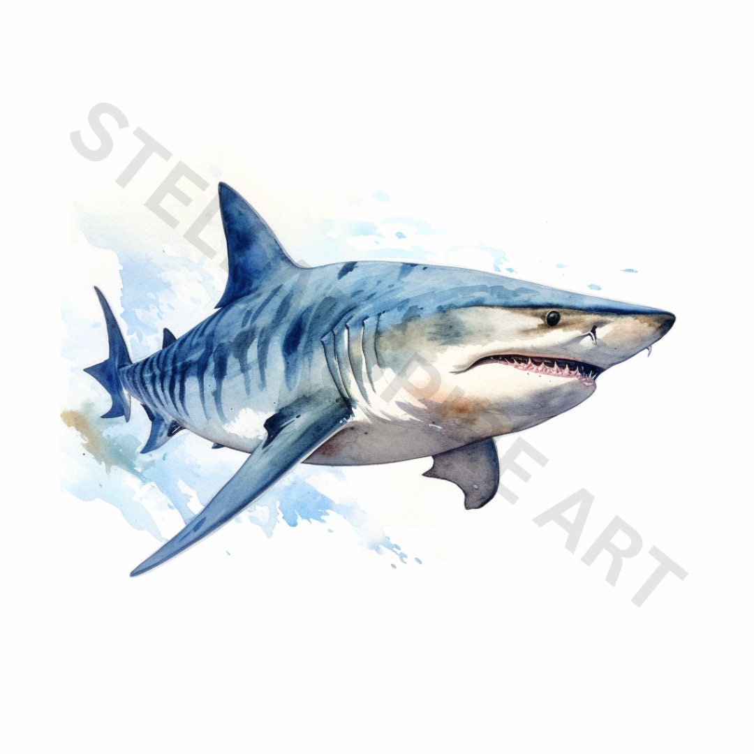 Watercolor Sharks Clipart - 8 High Quality Pngs - Digital Download ...