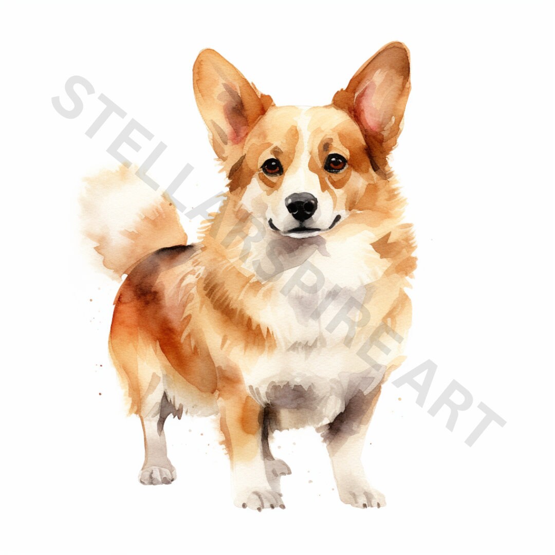 Watercolor Corgi Clipart 8 High Quality Pngs Digital - Etsy
