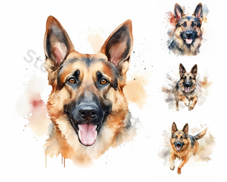 Watercolor German Shepherd Clipart - 8 High Quality Pngs - Digital ...