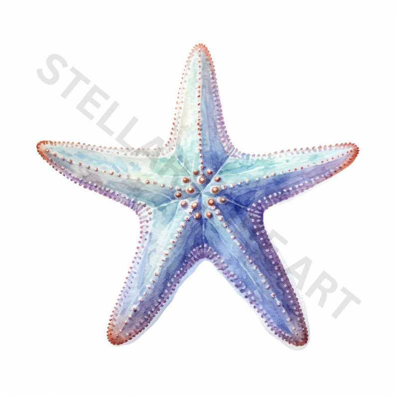 Watercolor Starfish Clipart - 8 High Quality Pngs - Digital Download ...