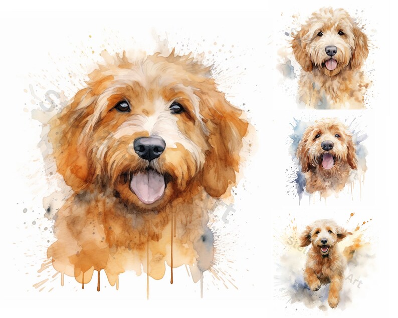 Watercolor Golden Doodle Clipart - 8 High Quality Pngs - Digital ...