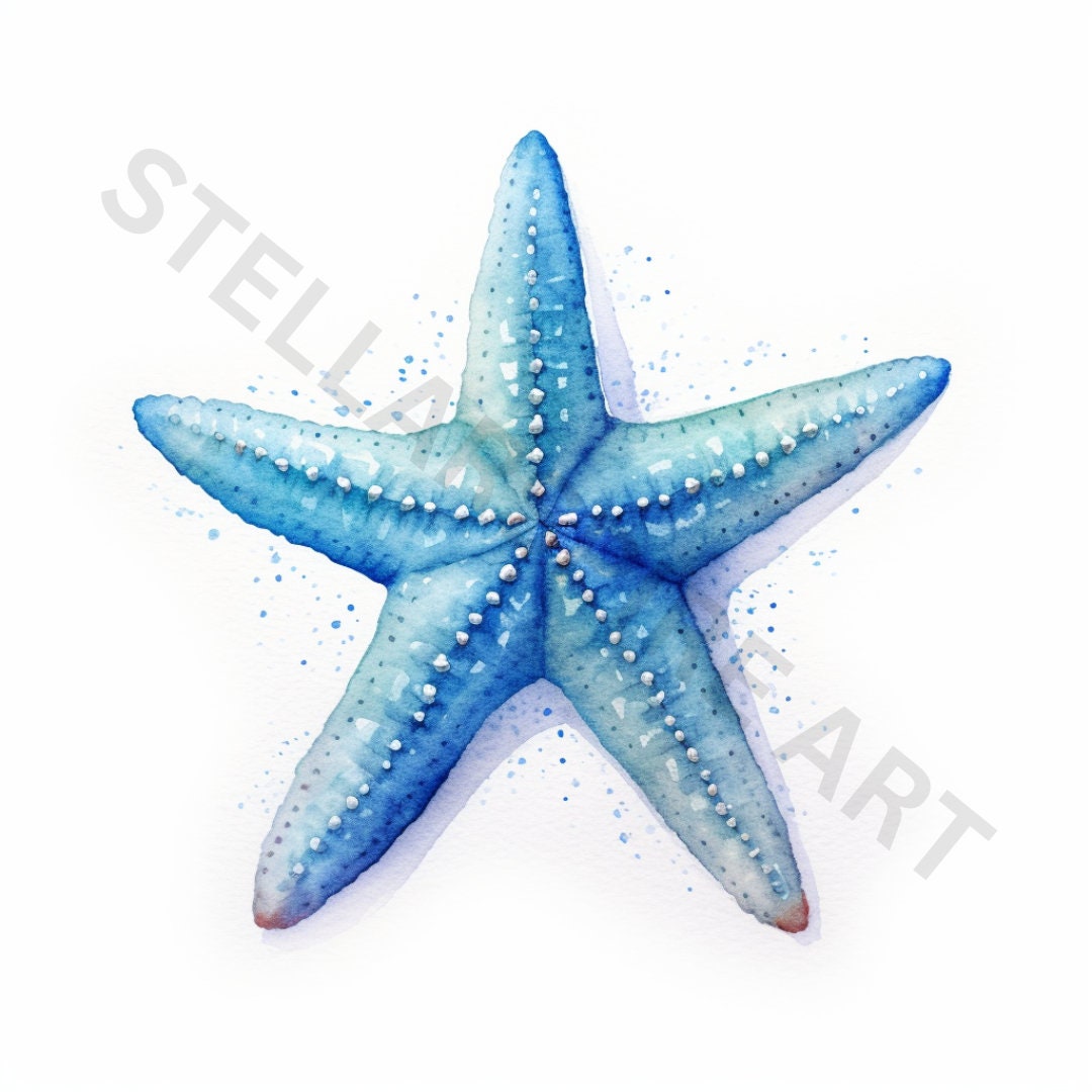 Watercolor Starfish Clipart - 8 High Quality Pngs - Digital Download ...
