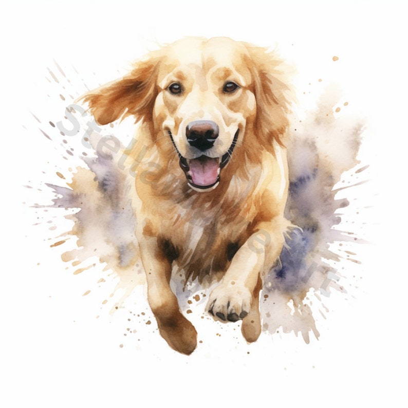 Watercolor Golden Retriever Clipart - 8 High Quality Pngs - Digital ...