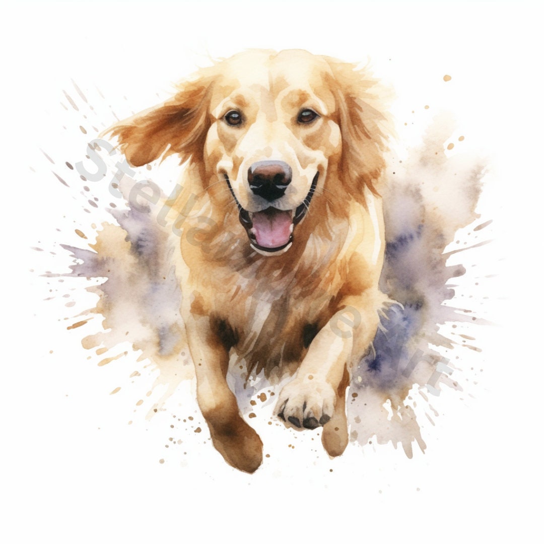 Watercolor Golden Retriever Clipart - 8 High Quality Pngs - Digital ...