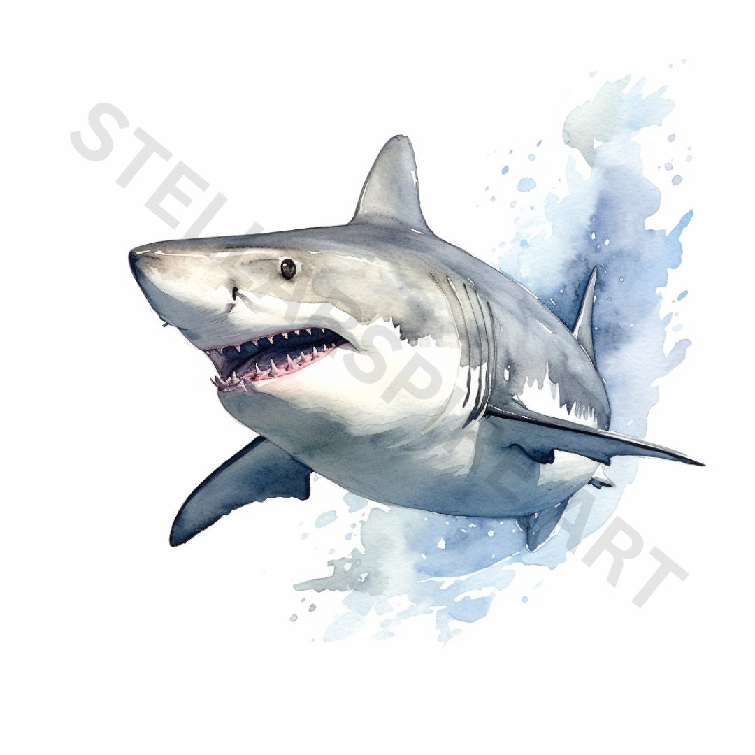 Watercolor Sharks Clipart - 8 High Quality Pngs - Digital Download ...