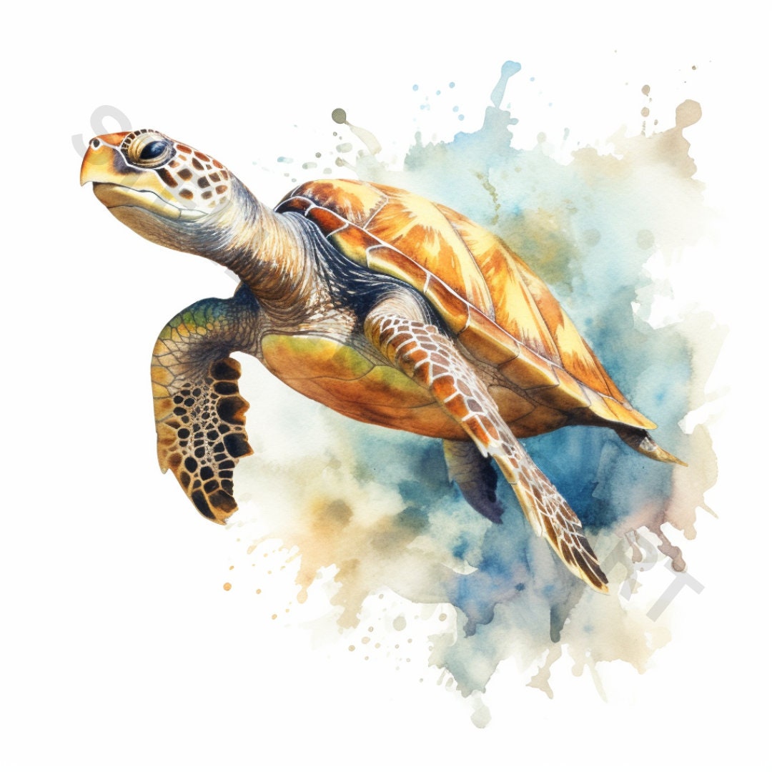 Watercolor Sea Turtle Clipart - 8 High Quality Pngs - Digital Download ...