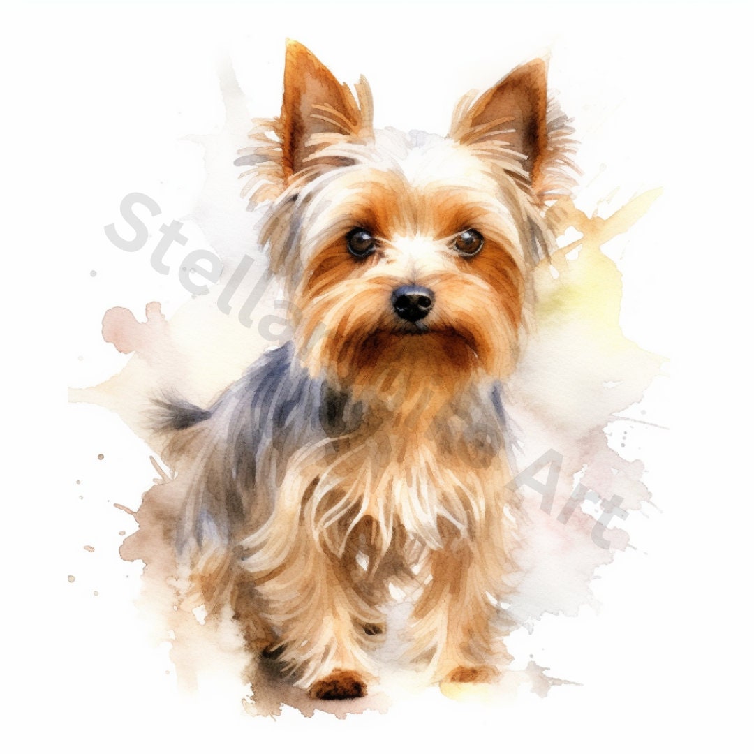 Watercolor Yorkshire Terrier Clipart 8 High Quality Pngs - Etsy